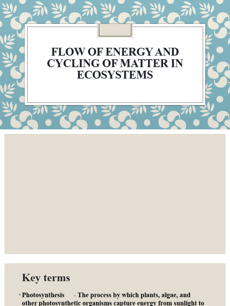 Energy Flow & Matter Cycling in Ecosystems | PDF