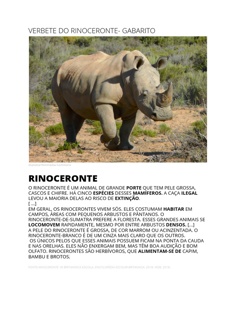 Atividade para Impressao Gabarito Verbete Do Rinoceronte Lpo2 03sqa07 | PDF