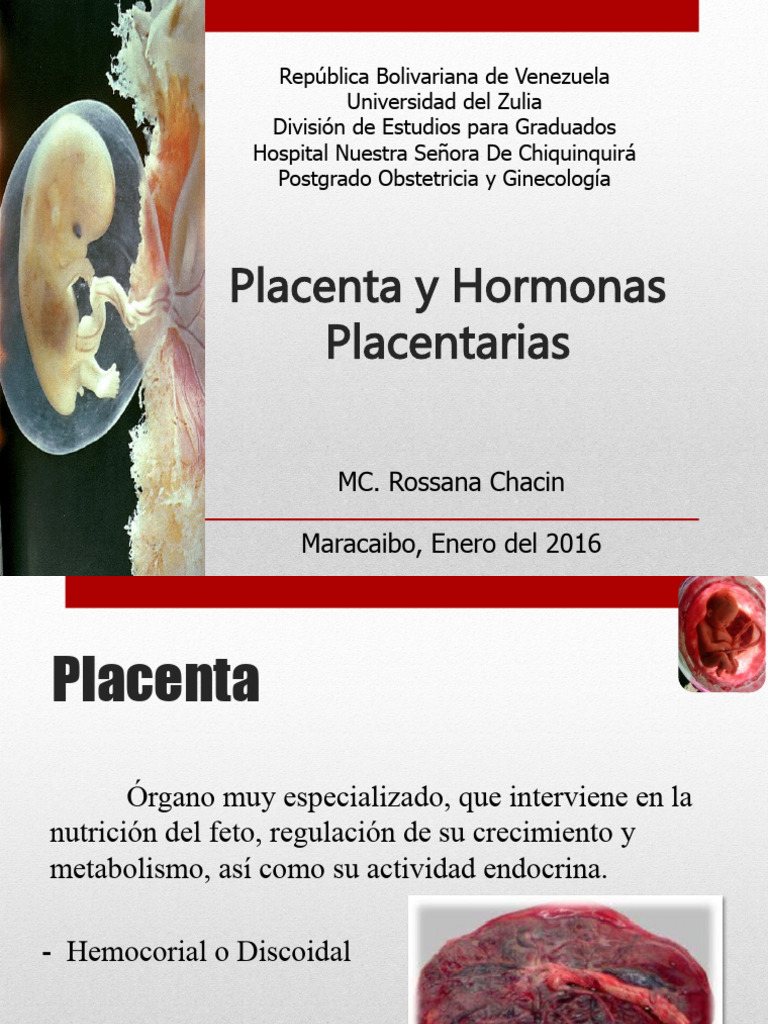 Clase Placenta y Hormonas Placentarias | PDF