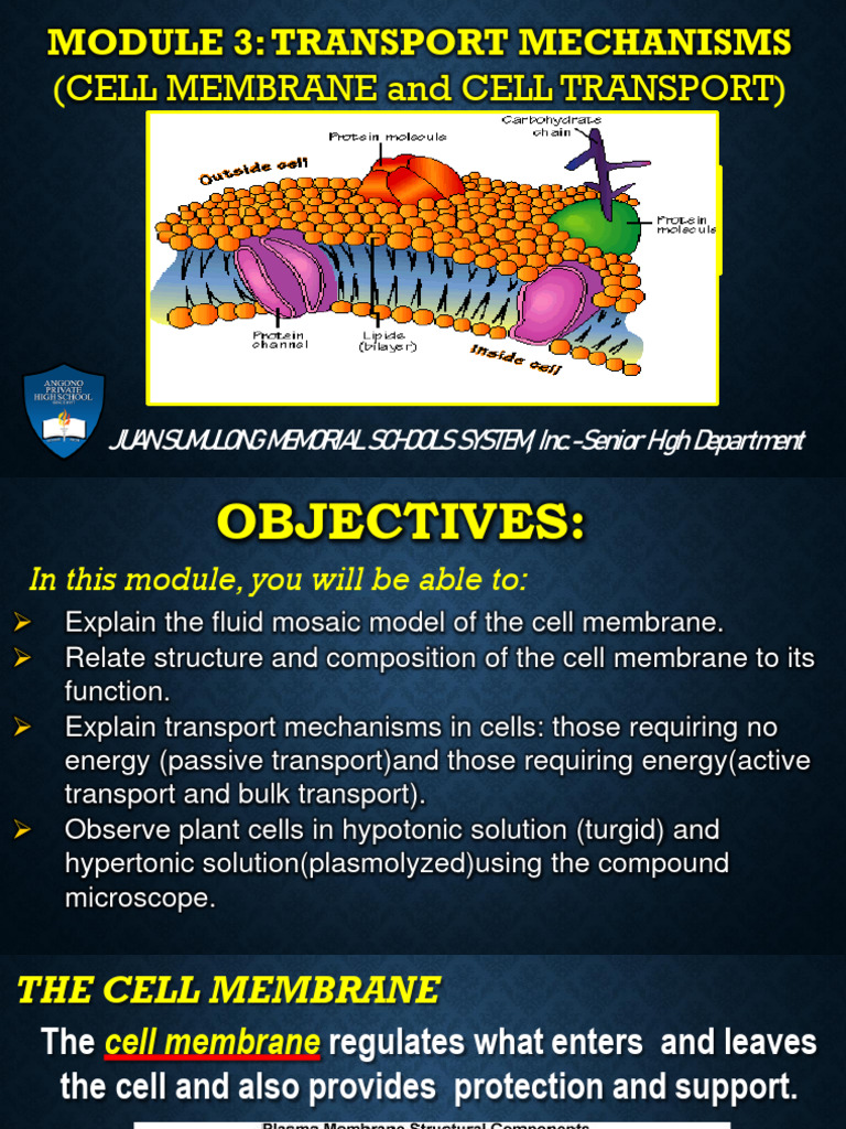 Module 3 Cell Membrane and Cell Transport1 | PDF