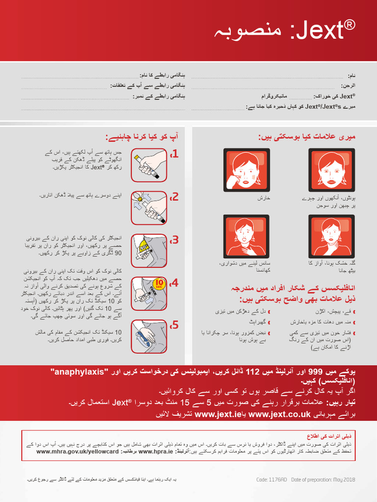 Jext - Action Plan v4 Urdu | PDF Jext - Action Plan v4 Urdu | PDF