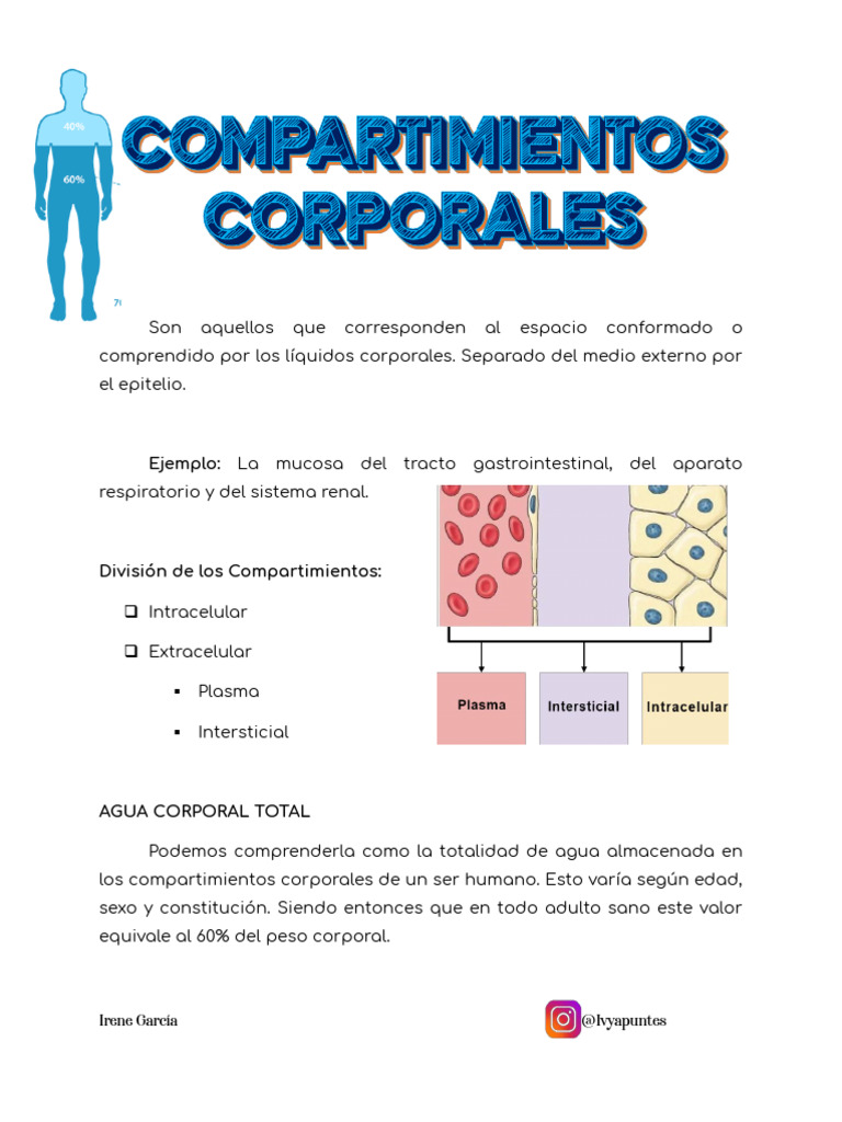 Compartimientos Corporales Irene García 100345 Pdf