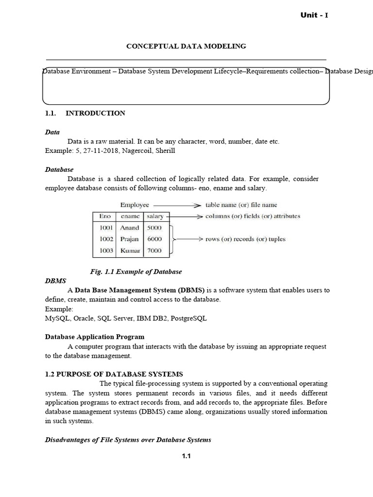 Unit 1 DBMS | PDF