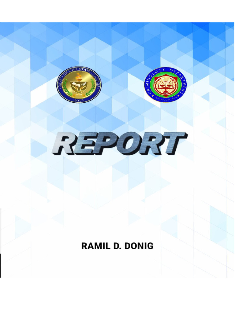Spot Report | PDF