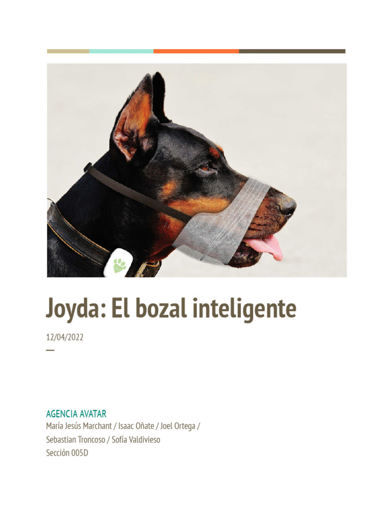 Joyda Avatar | PDF
