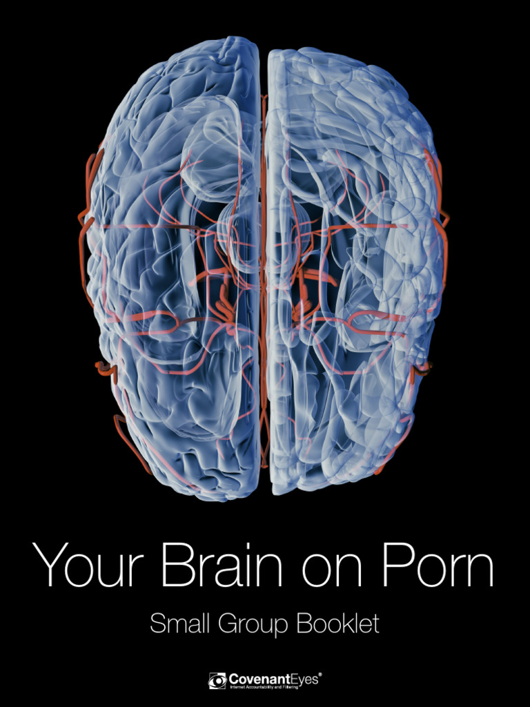 Your Brain On Porn SGG | PDF
