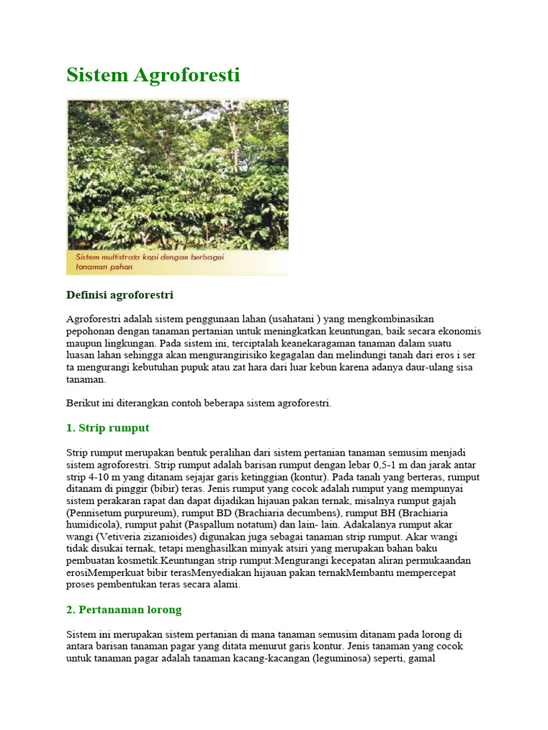 Agroforestry Zainal | PDF