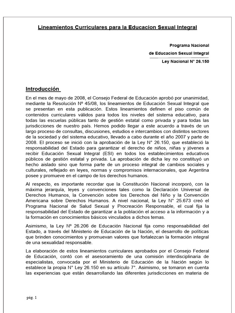 Lineamientos ESI para Escuelas | PDF