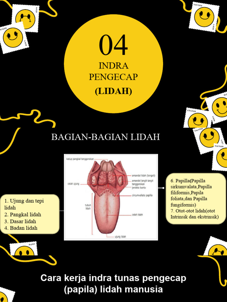 Lidah | PDF