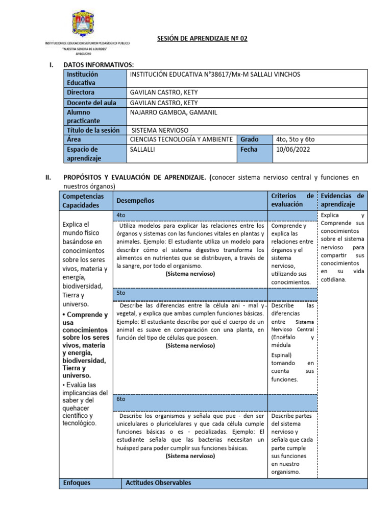 SESIÓN DE APRENDIZAJE #02 Gamanil | PDF | Sistema nervioso | Evaluación