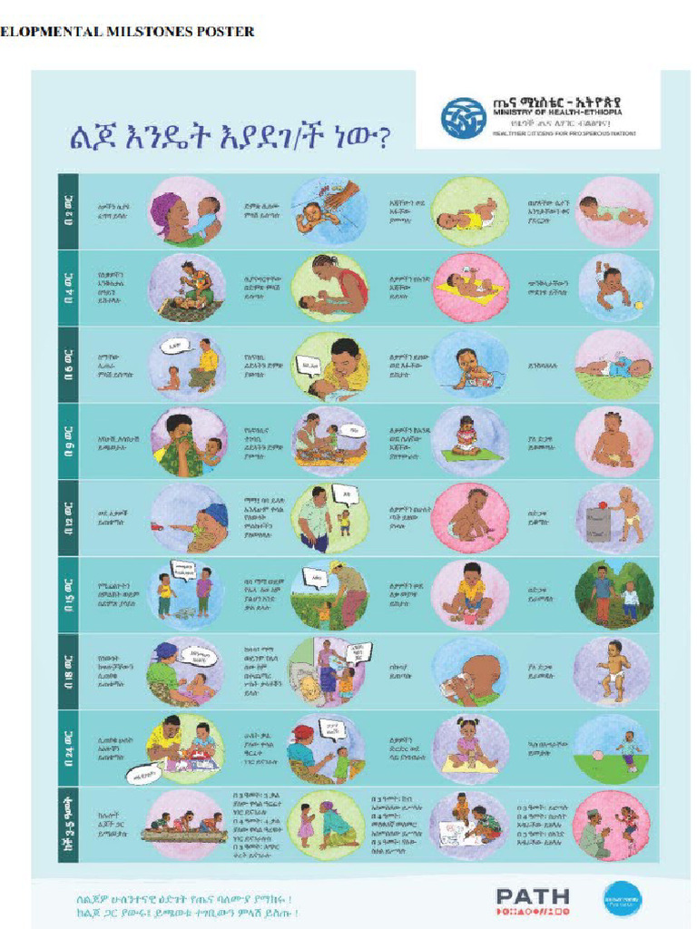 ECD Posters | PDF
