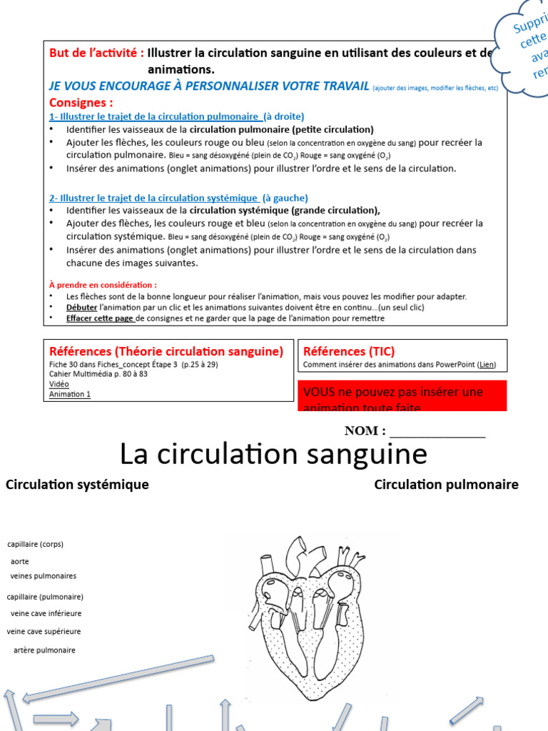 Animation de la Circulation Sanguine | PDF | Sang | Spécialités médicales
