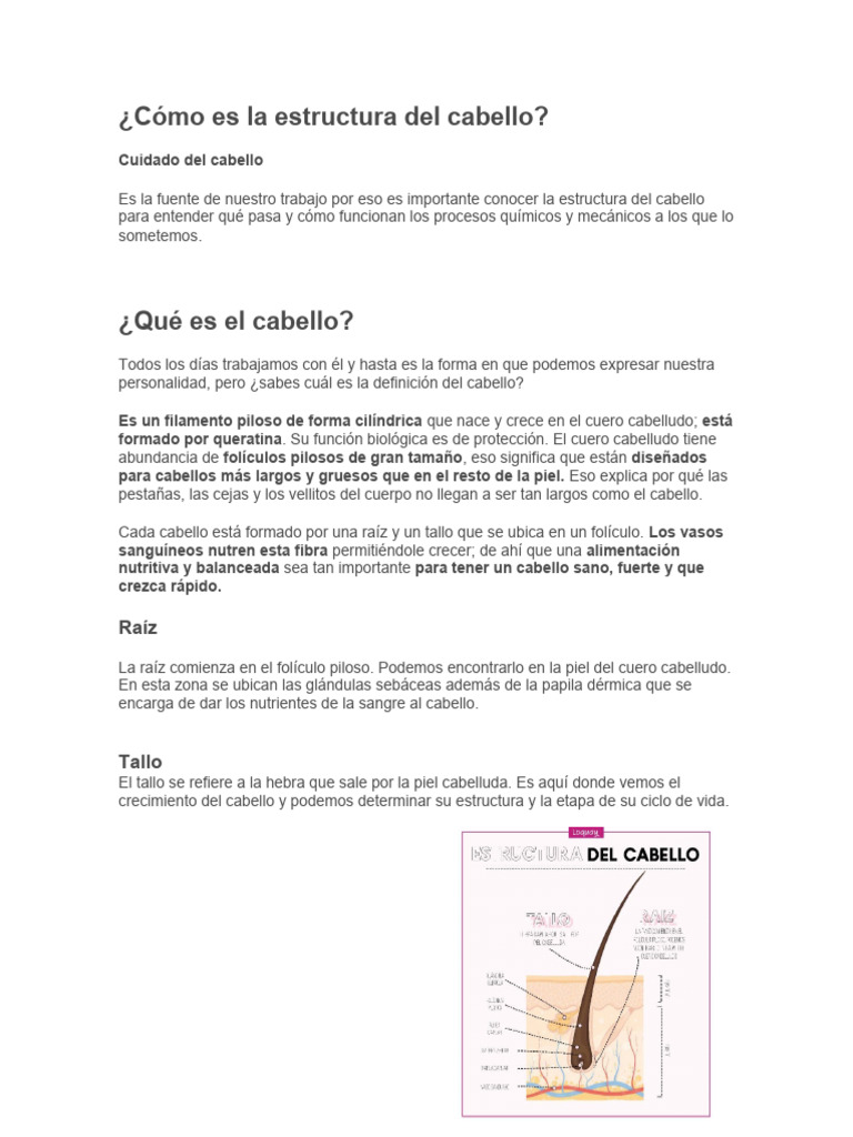 Estructura y partes del cabello | PDF