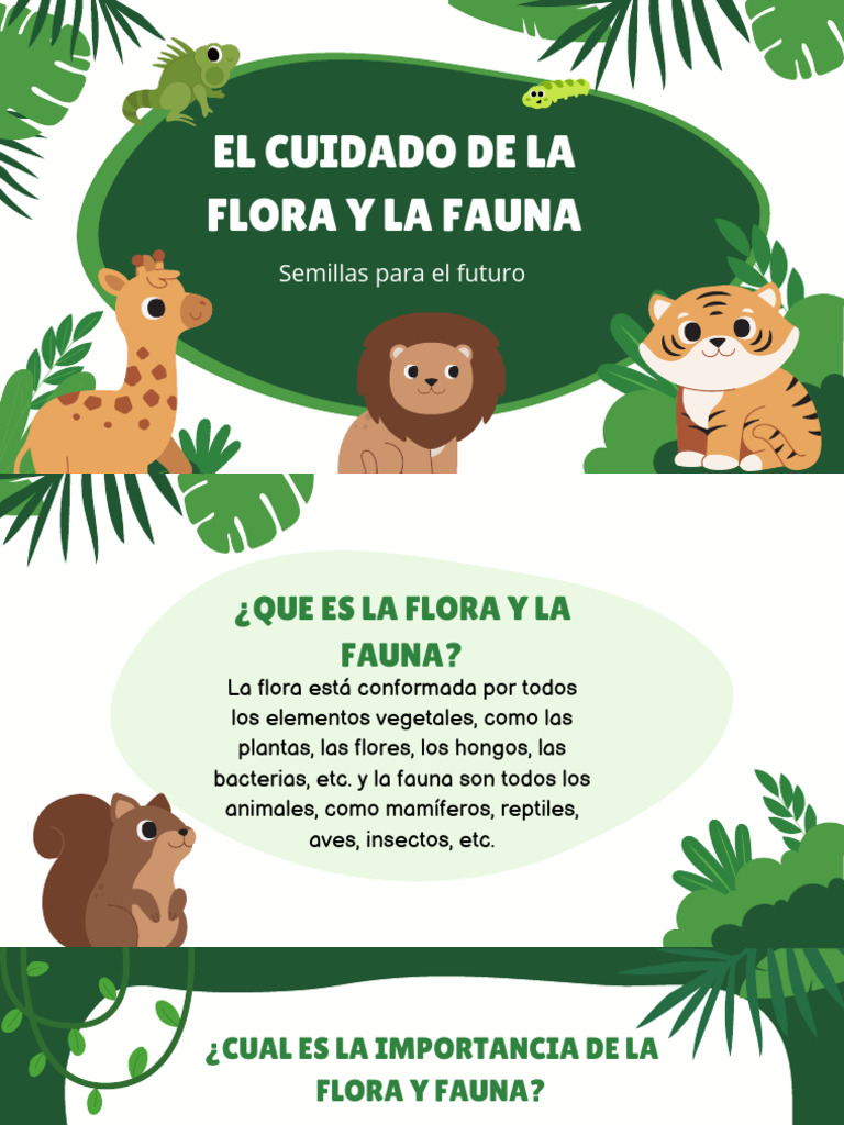 Cuidado de Flora y Fauna para Niños | PDF