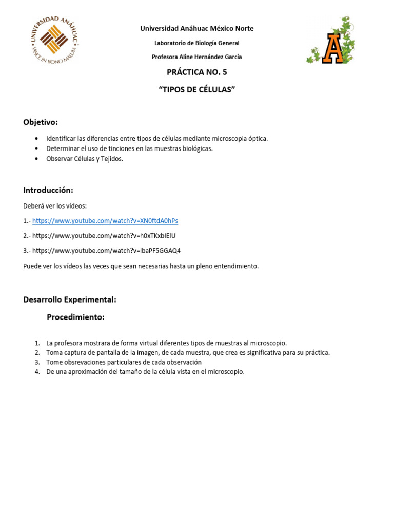 Práctica No 5 Biología General | PDF | Microscopio | Biología Celular)