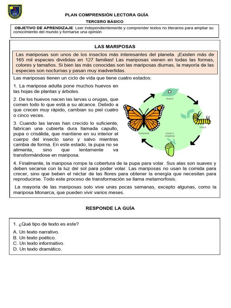 3º Las Mariposas | PDF
