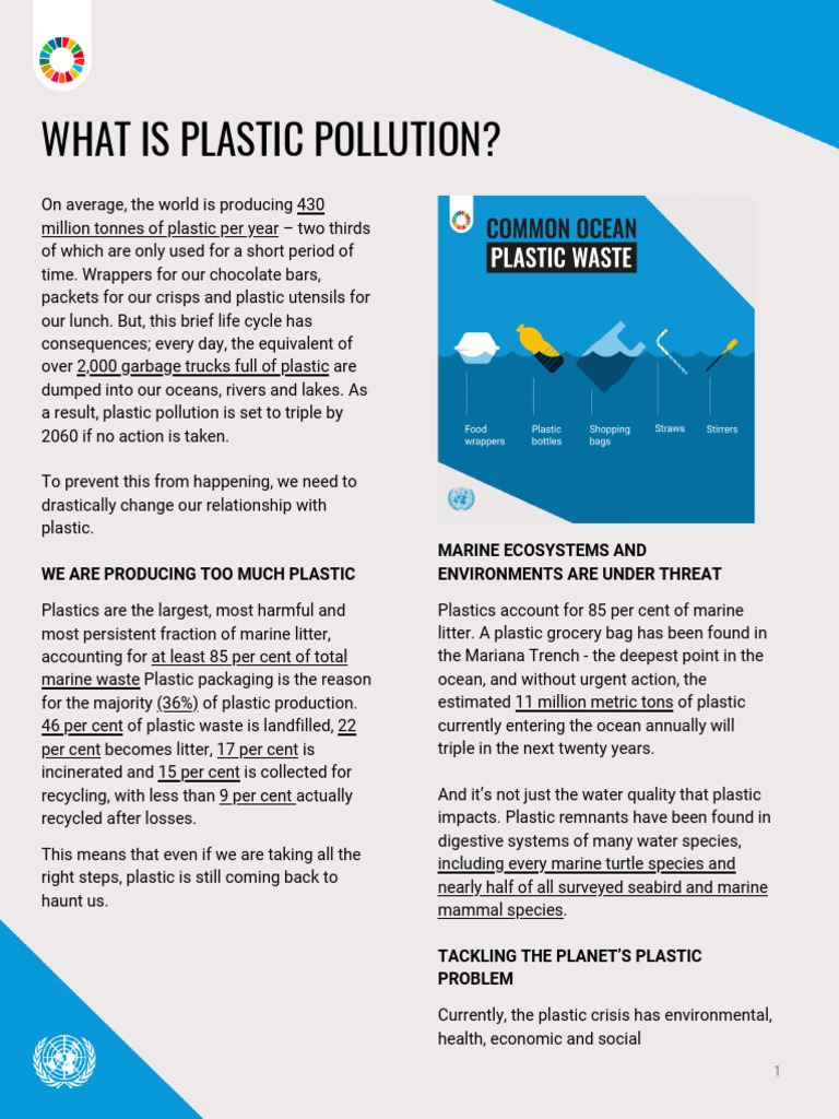 SDG Explainers Plastic Pollution | PDF