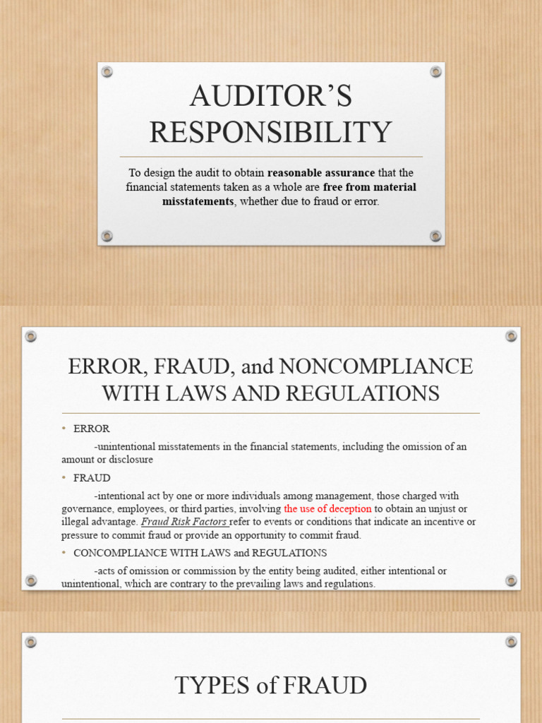 Auditor's Responsibility | PDF