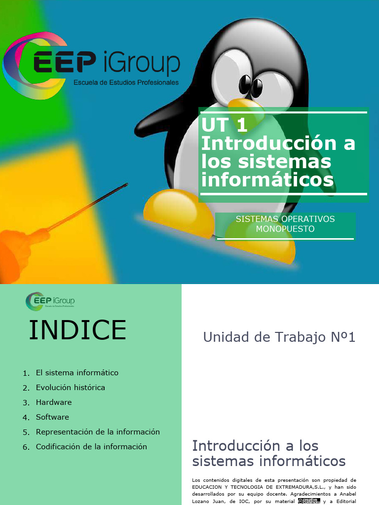 SOm-UT1-Introducción Sist Inf | PDF