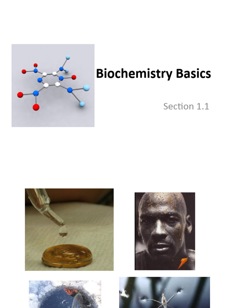 Biochemistry Basics | PDF | Chemical Bond | Ion