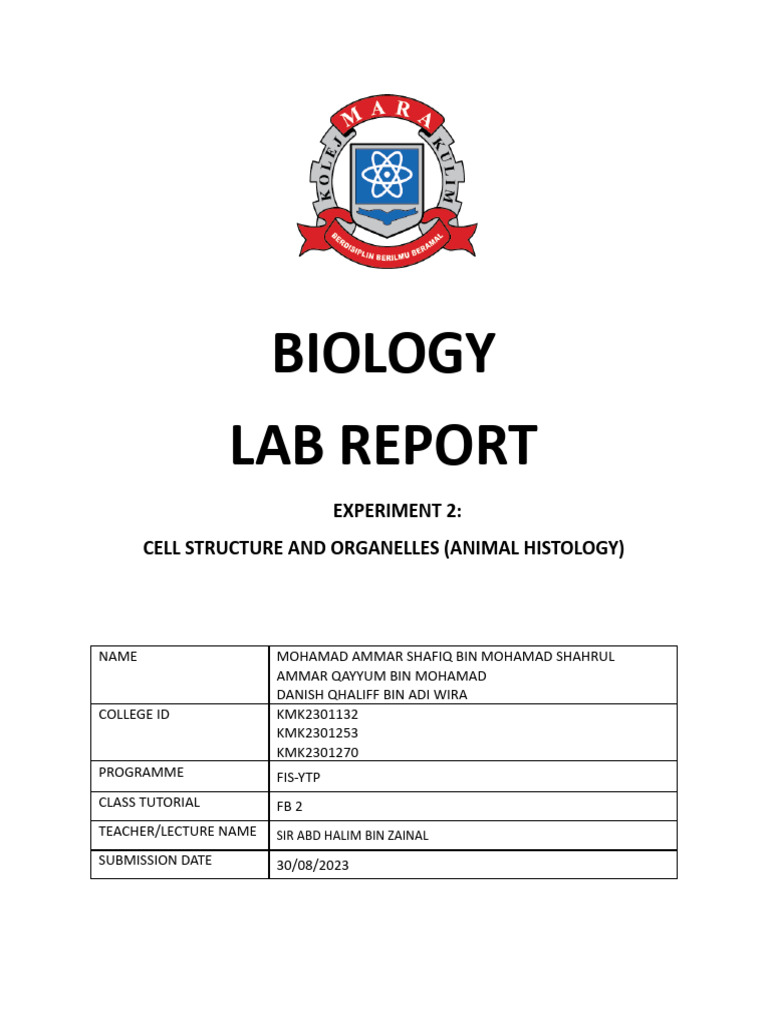 Animal Tissue Structure and Functions | PDF