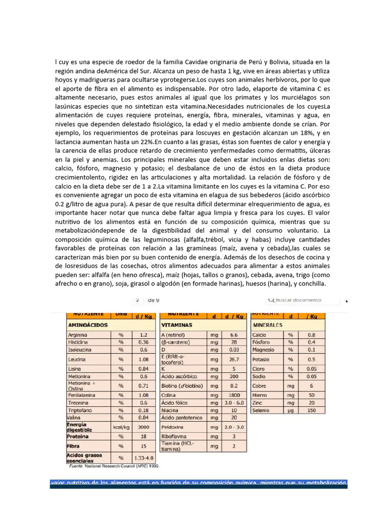 L Cuy Es Una Especie de Roedor de La Familia Cavidae Originaria de Perú ...
