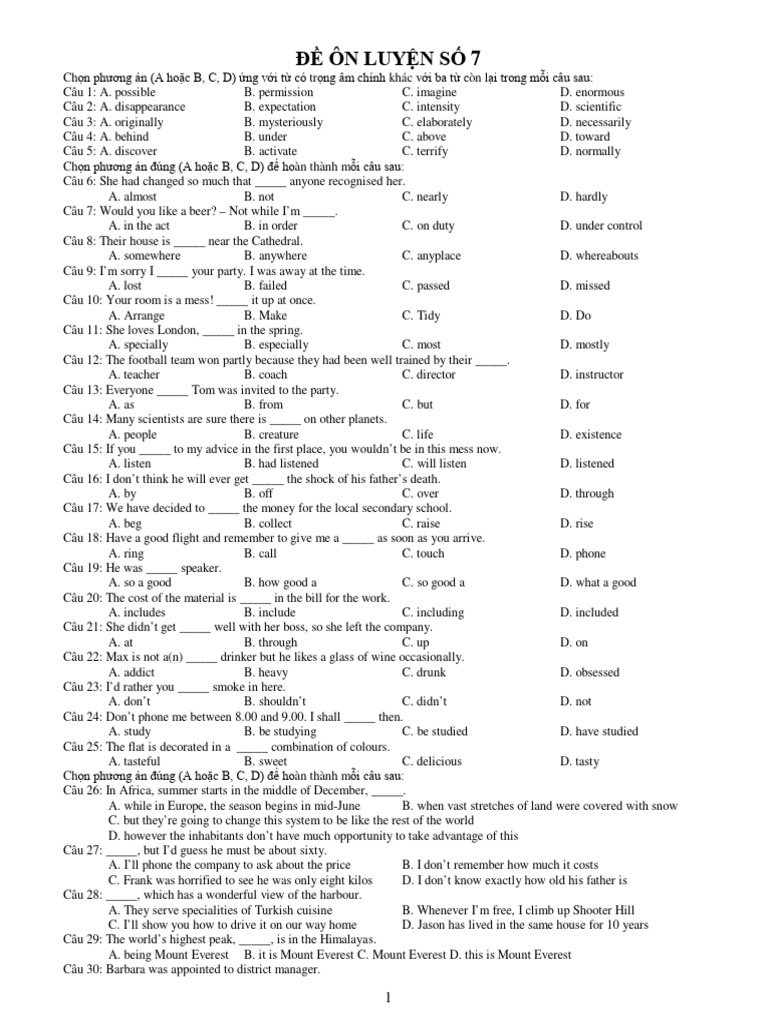English Grammar and Vocabulary Practice Test | PDF