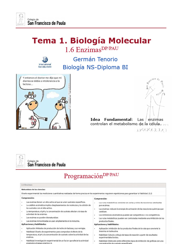BM6. Enzimas | PDF | Enzima | Inhibidor de la enzima