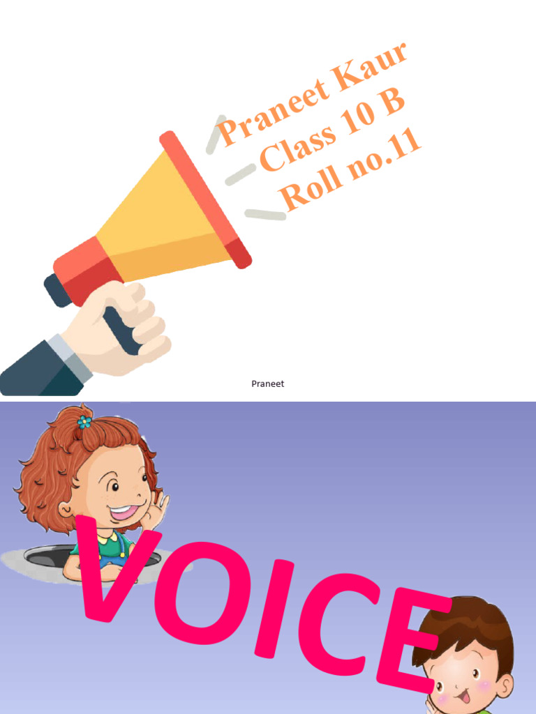 Voice | PDF