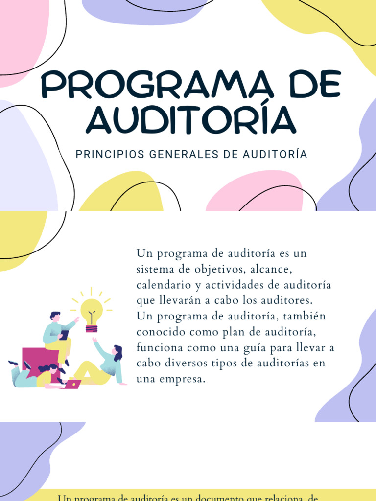 Programa de Auditoria | PDF
