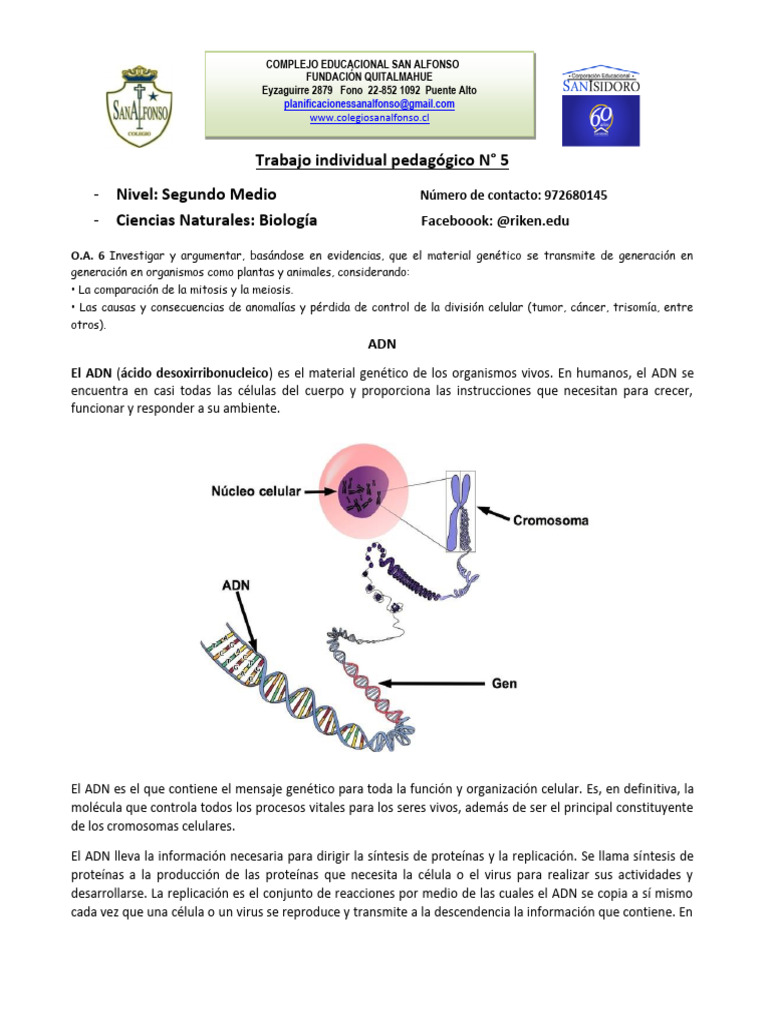 Biología Guia Nº5 1 | PDF | Adn | Nucleótidos