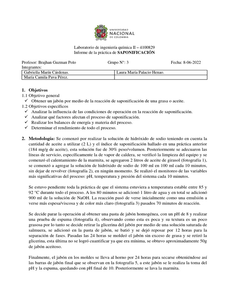 Informe Saponificacion | PDF | Hidróxido de sodio | Química