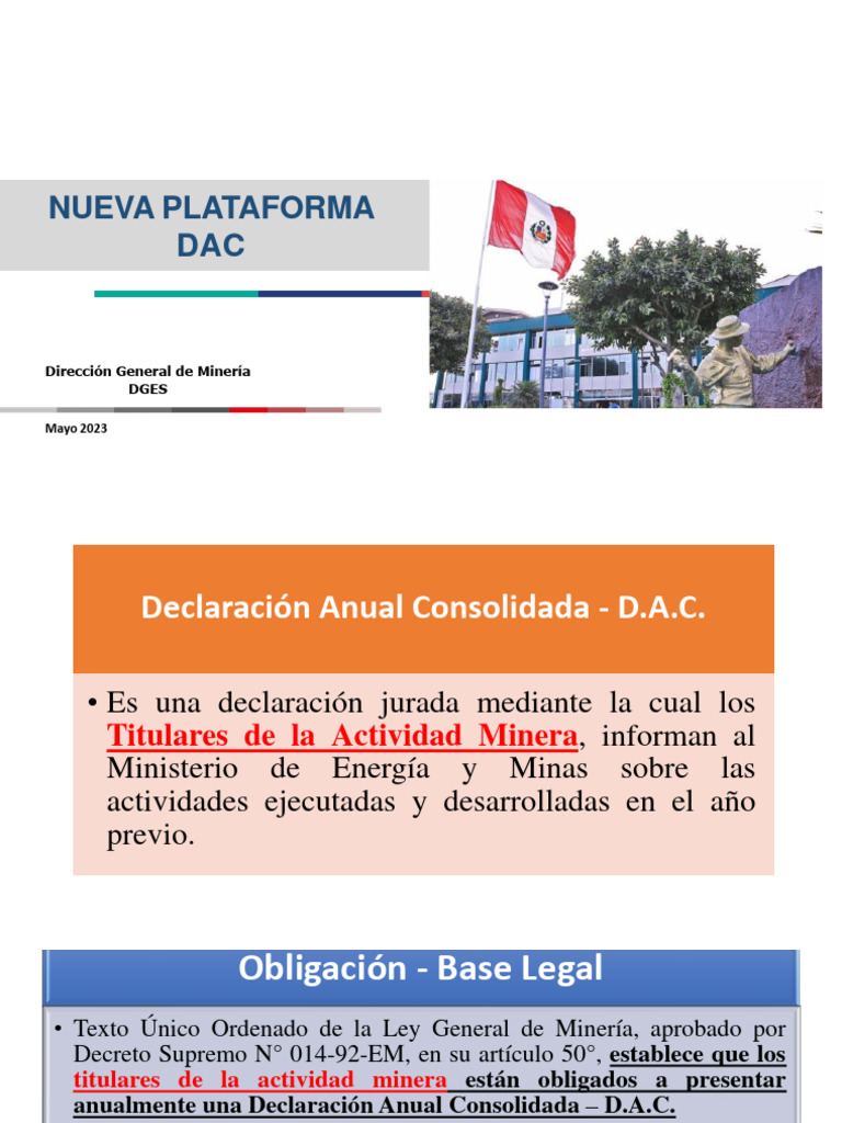 Presentacion Dac 2022 Estamin | PDF