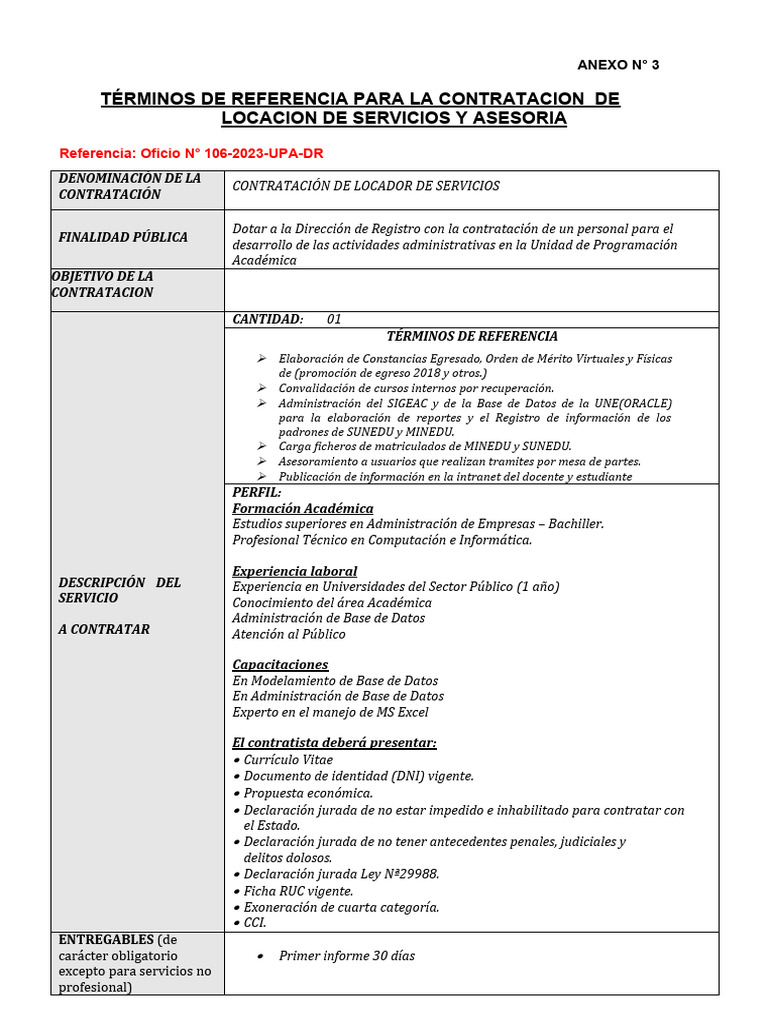 Modelo TDR para Contratacion Con El Estado | PDF