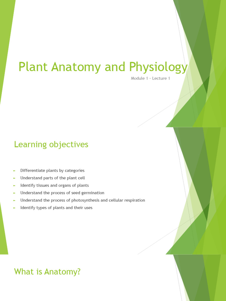 Plant Anatomy and Physiology 1-1 | PDF