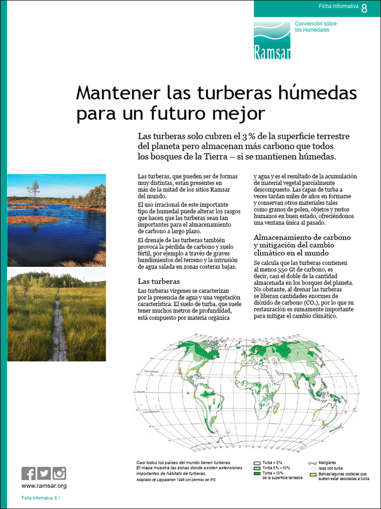 Importancia de las Turberas en el Clima | PDF | Turba | Agua
