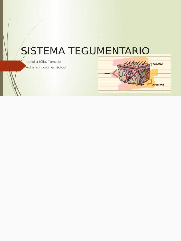 Calameo Pdf Downloader Pdf