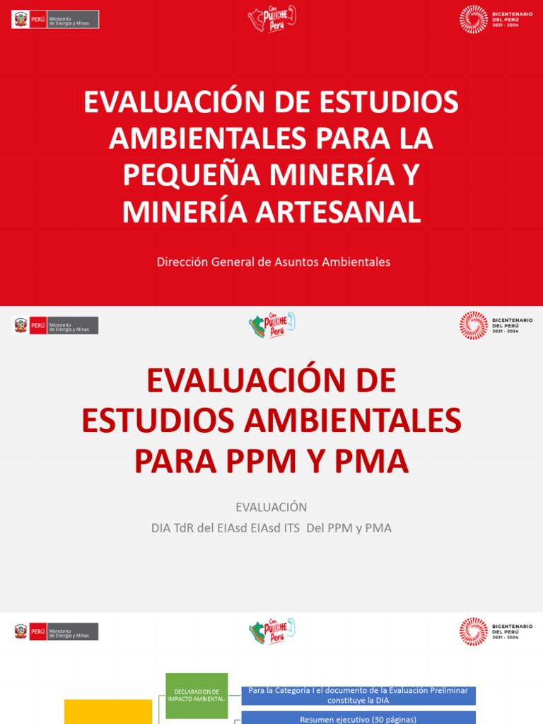 21.06 DEAM-DGAAM Evaluación de Estudios Ambientales para La PM y MA - Joyce Böttger | PDF
