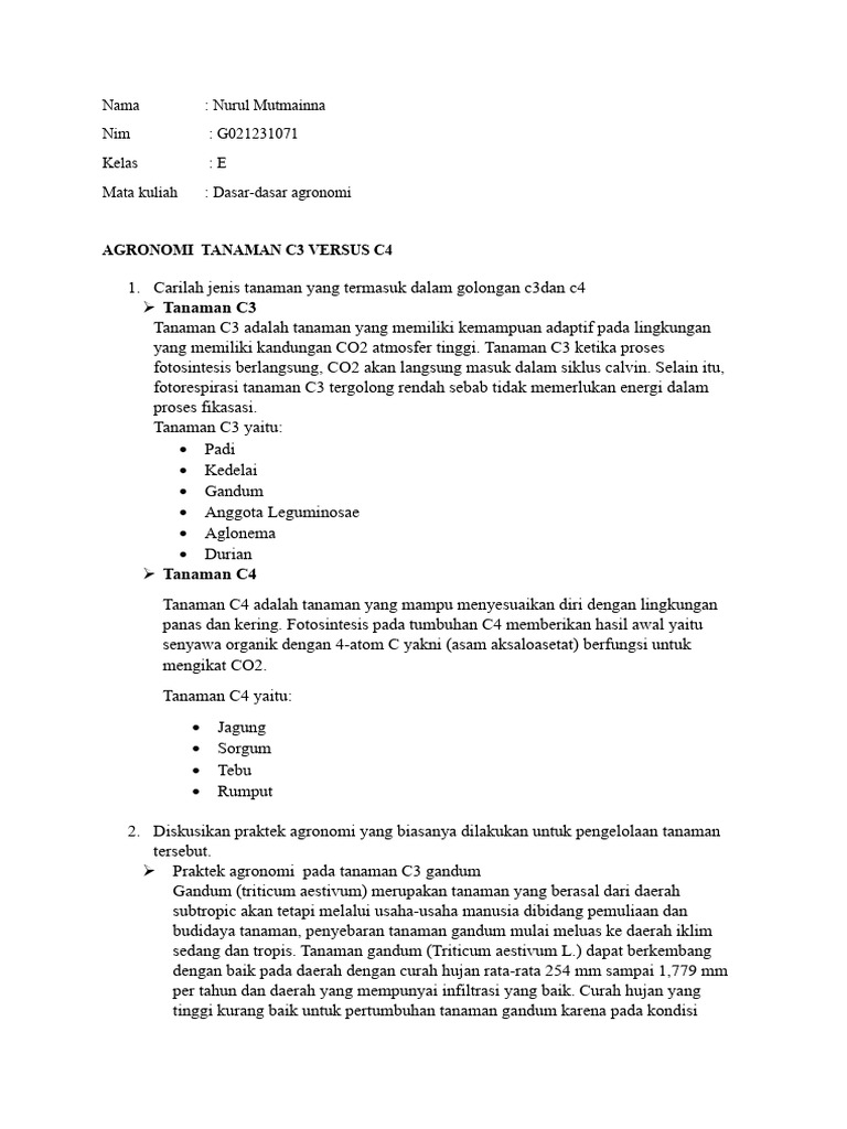 Tugas - DDA - Nurul Mutmainna - G021231071 | PDF