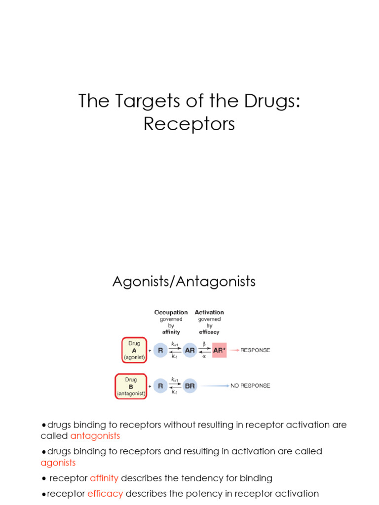 MedChem8 Receptors | PDF | Receptor Antagonist | Receptor (Biochemistry)