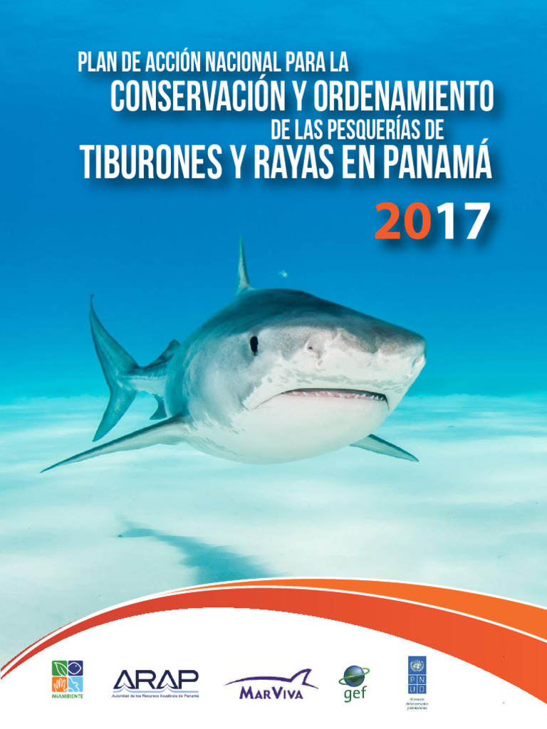 Plan de Acción Nacional Conservación Tiburones y Rayas 2017 | PDF ...