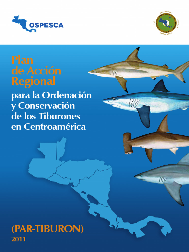 Plan de Accion Regional de Tiburones de Centroamerica | PDF | Pesquería ...
