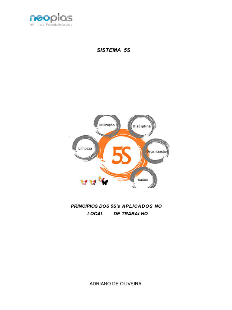 Manual Basico 5s | PDF