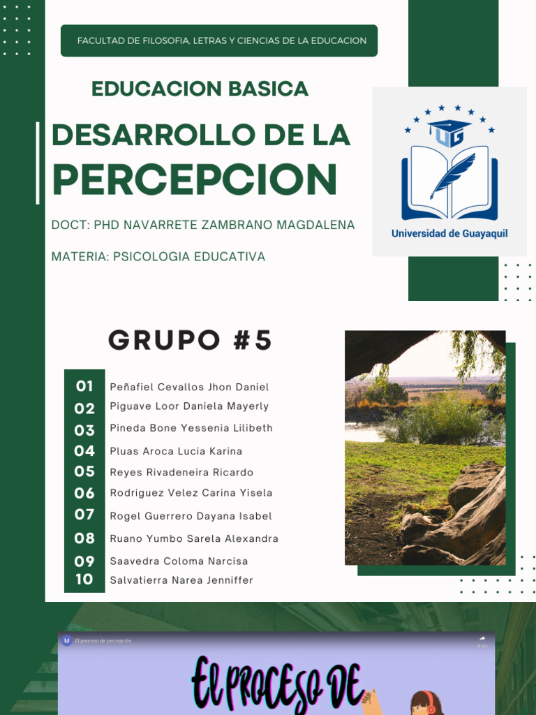 Desarrollo de La Percepcion | PDF
