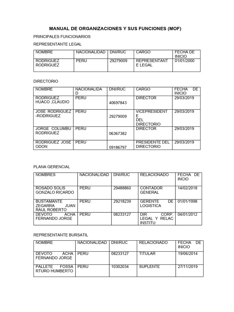 Manual de Organizaciones y Sus Funciones | PDF