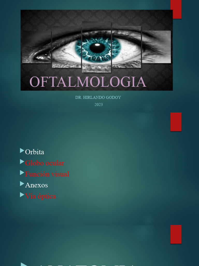Globo Ocular y via Optica | PDF | Percepción visual | Ojo humano