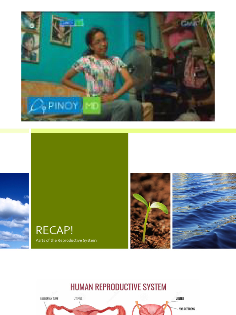 The Menstrual Cycle Feedback Mechanism Download Free Pdf Menstrual