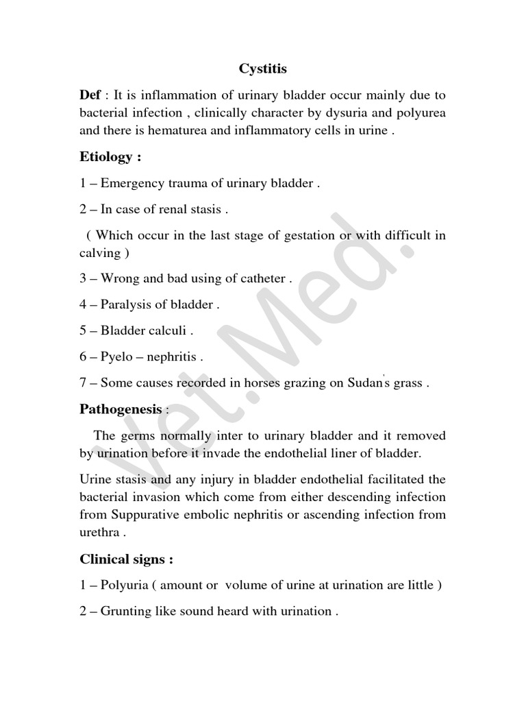 Cystitis | PDF