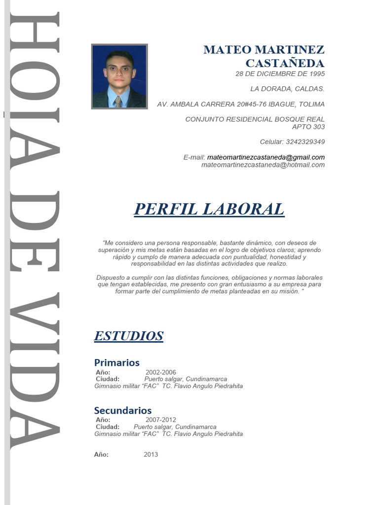 Hoja de Vida Mateo Martinez | PDF | Business | Informática