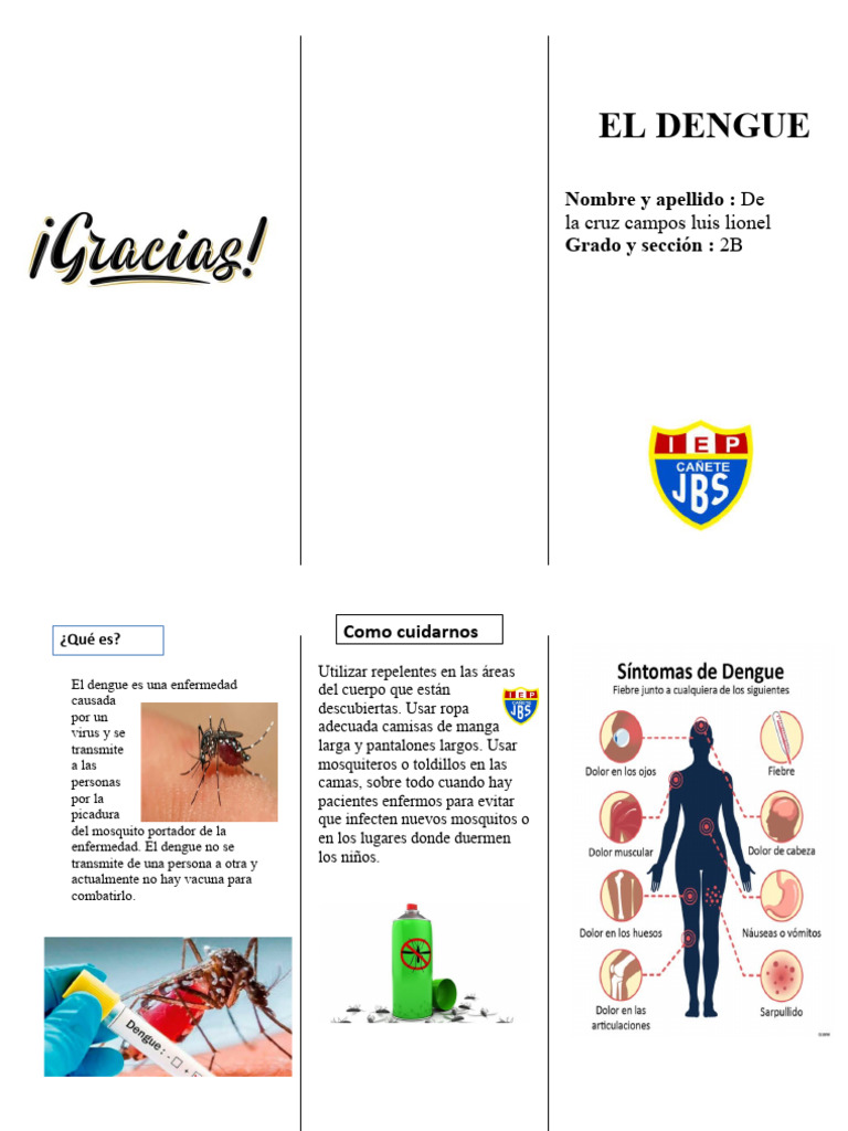 EL DENGUE Triptico | PDF EL DENGUE Triptico | PDF